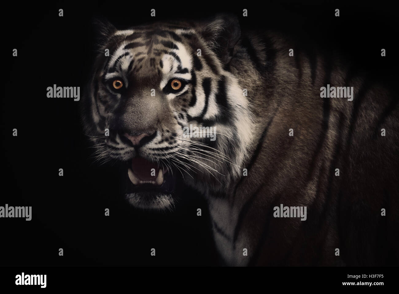 Hypnotized hi-res stock photography and images - Alamy