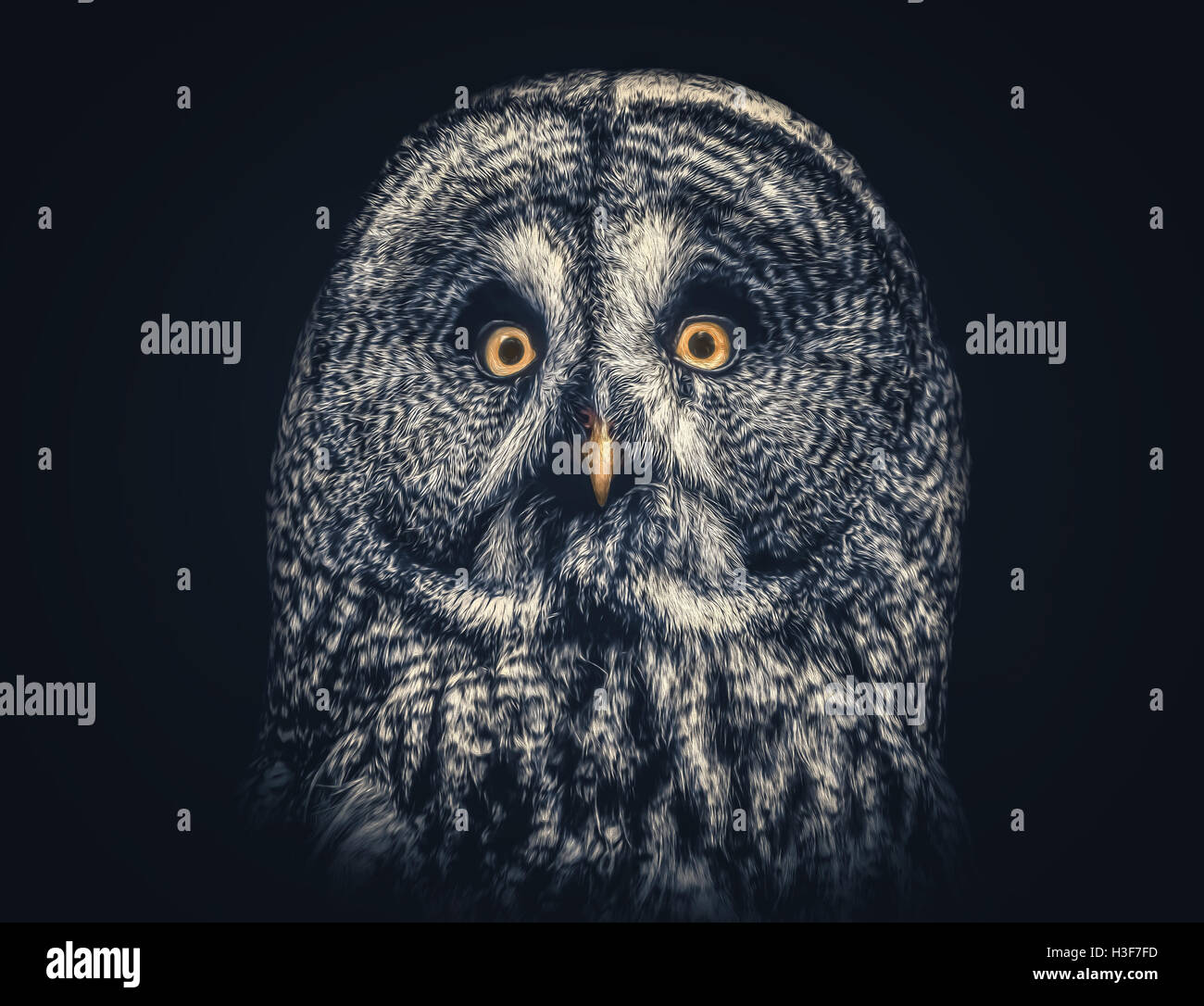 Wildlife face artwork hi-res stock photography and images - Alamy