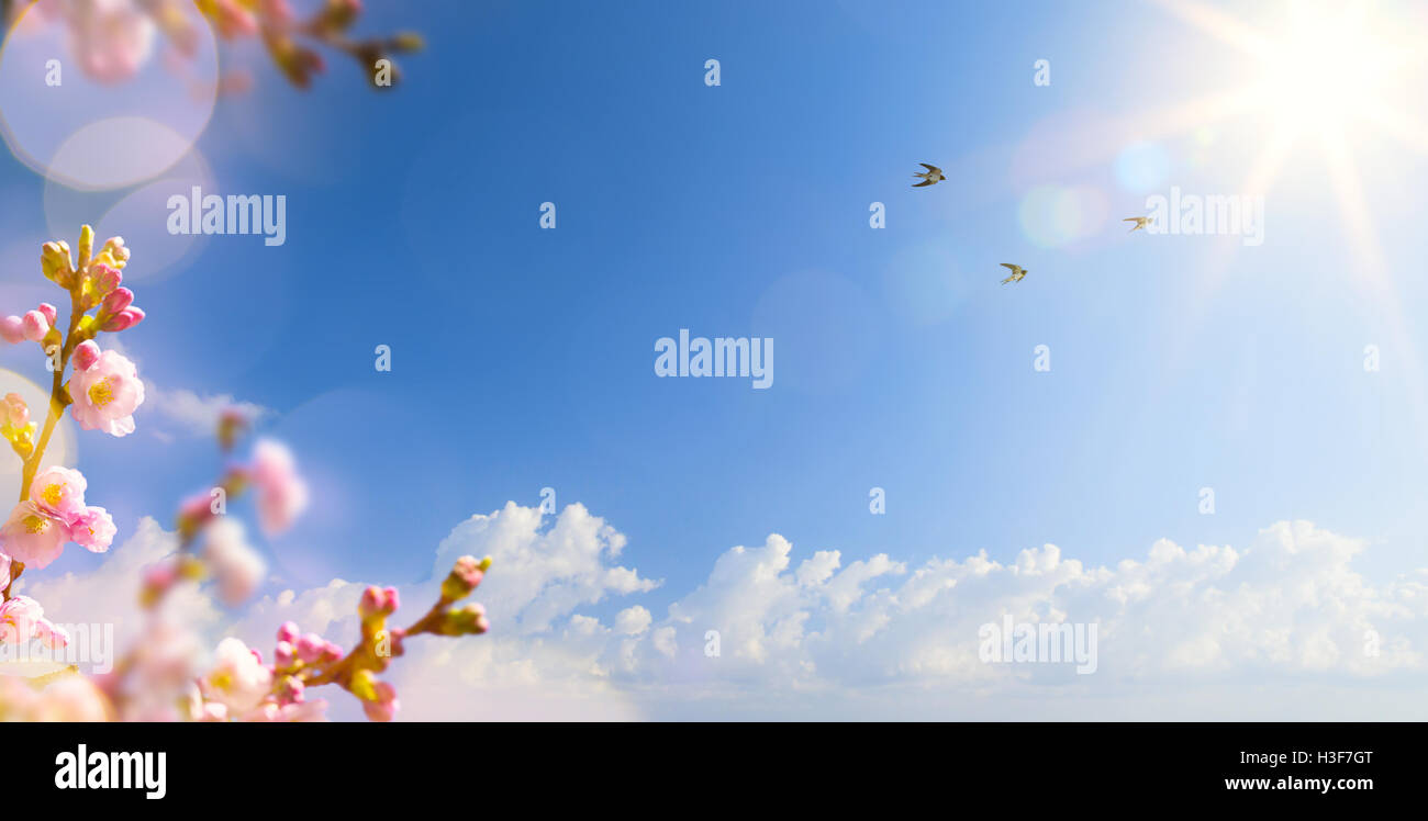 abstract Spring landscape background with flying birds and Spring ...