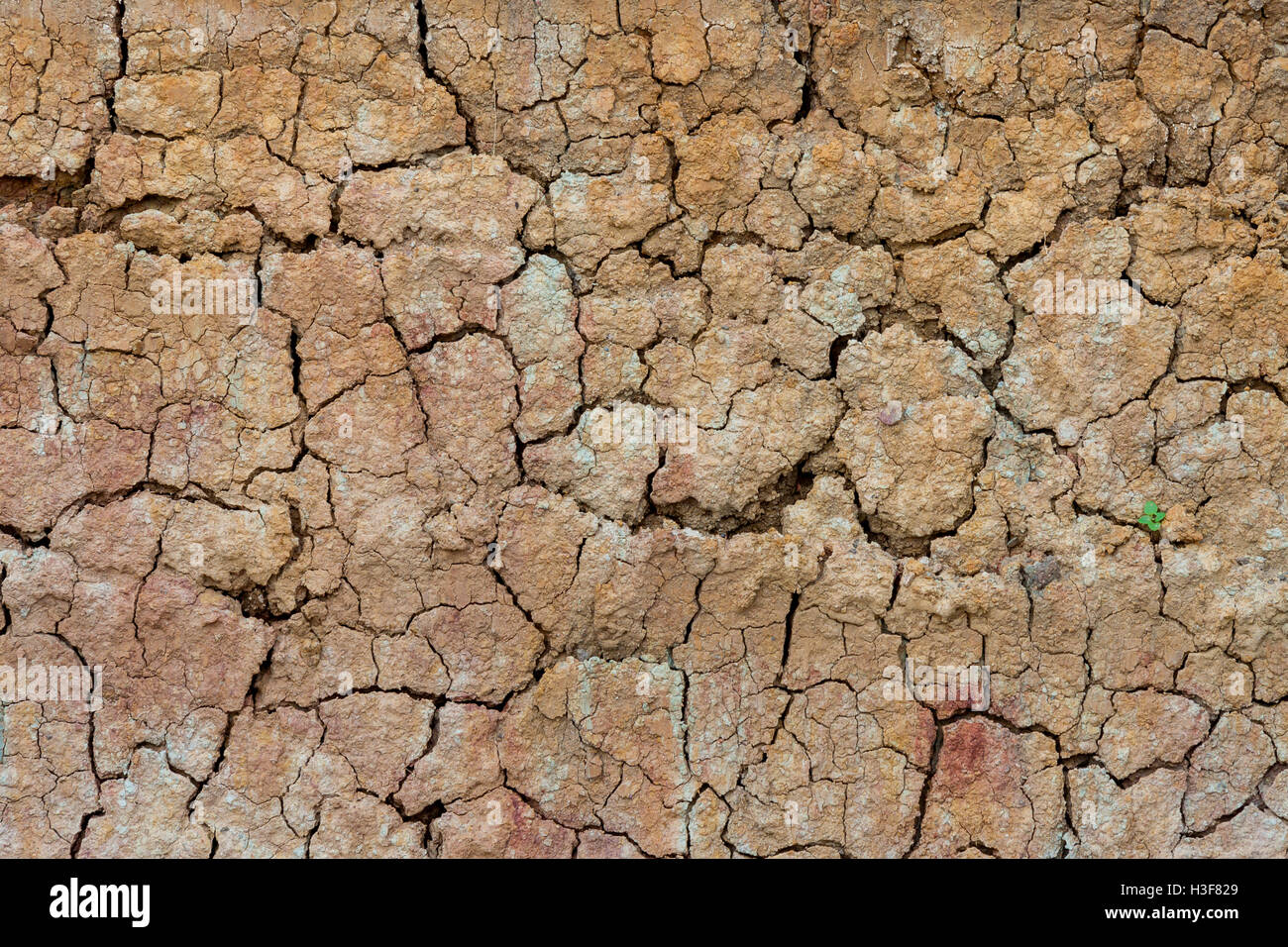 Natural background - Cracked clay Stock Photo - Alamy