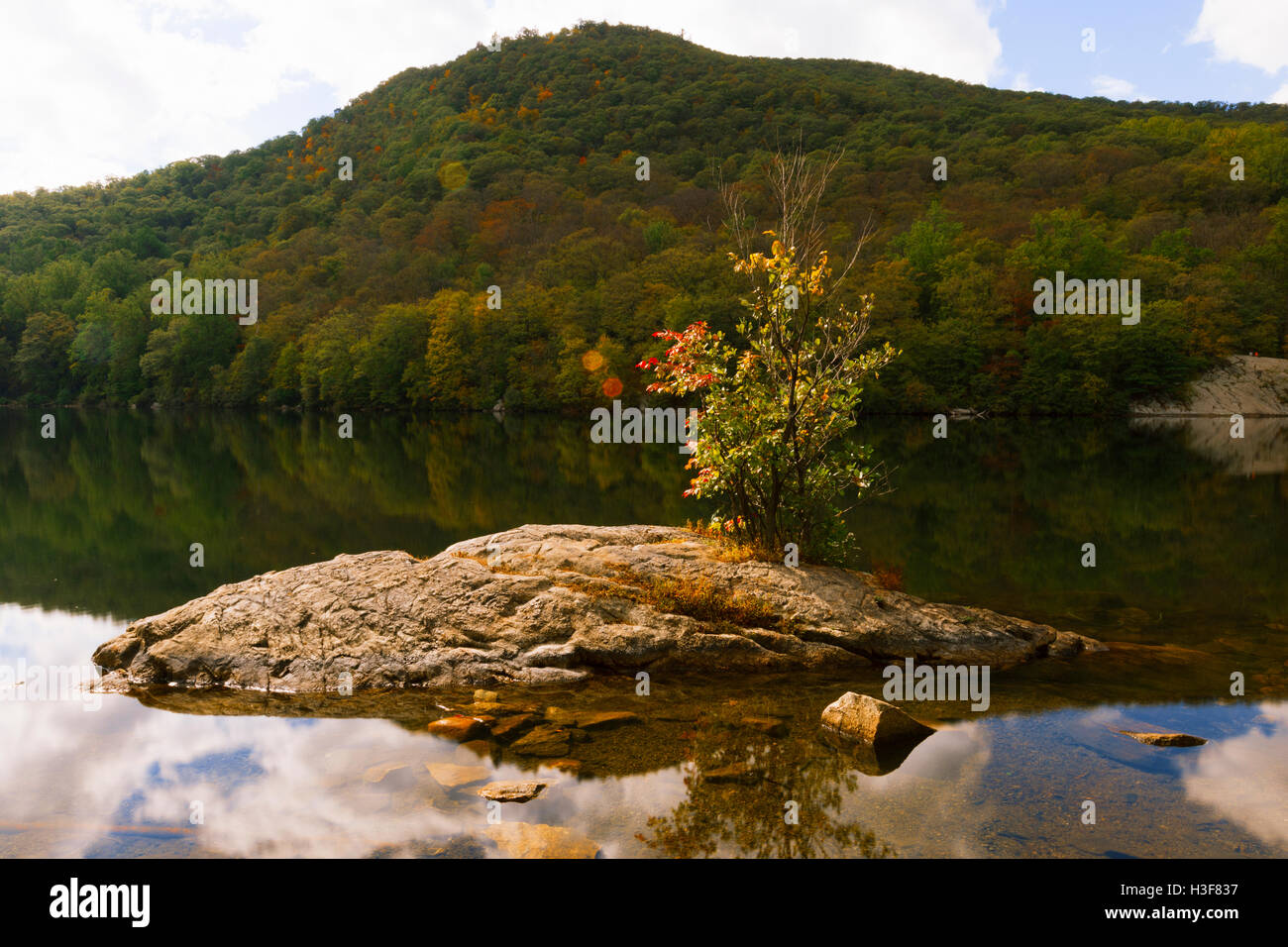 Fall landscape with the forest lake Stock Photo - Alamy