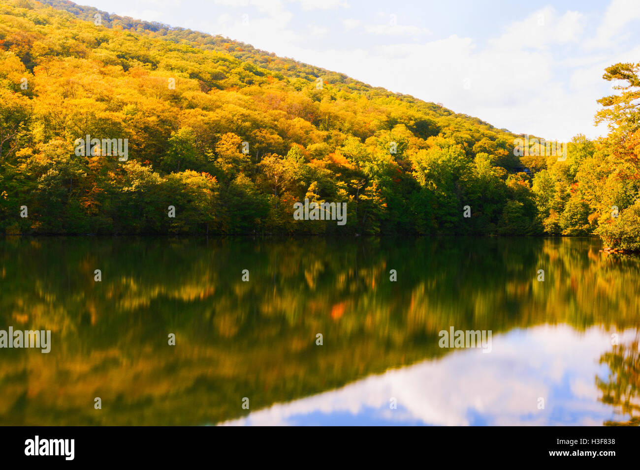 Fall landscape with the forest lake Stock Photo - Alamy