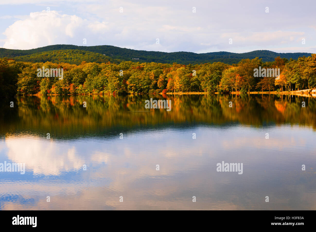 Fall landscape with the forest lake Stock Photo - Alamy