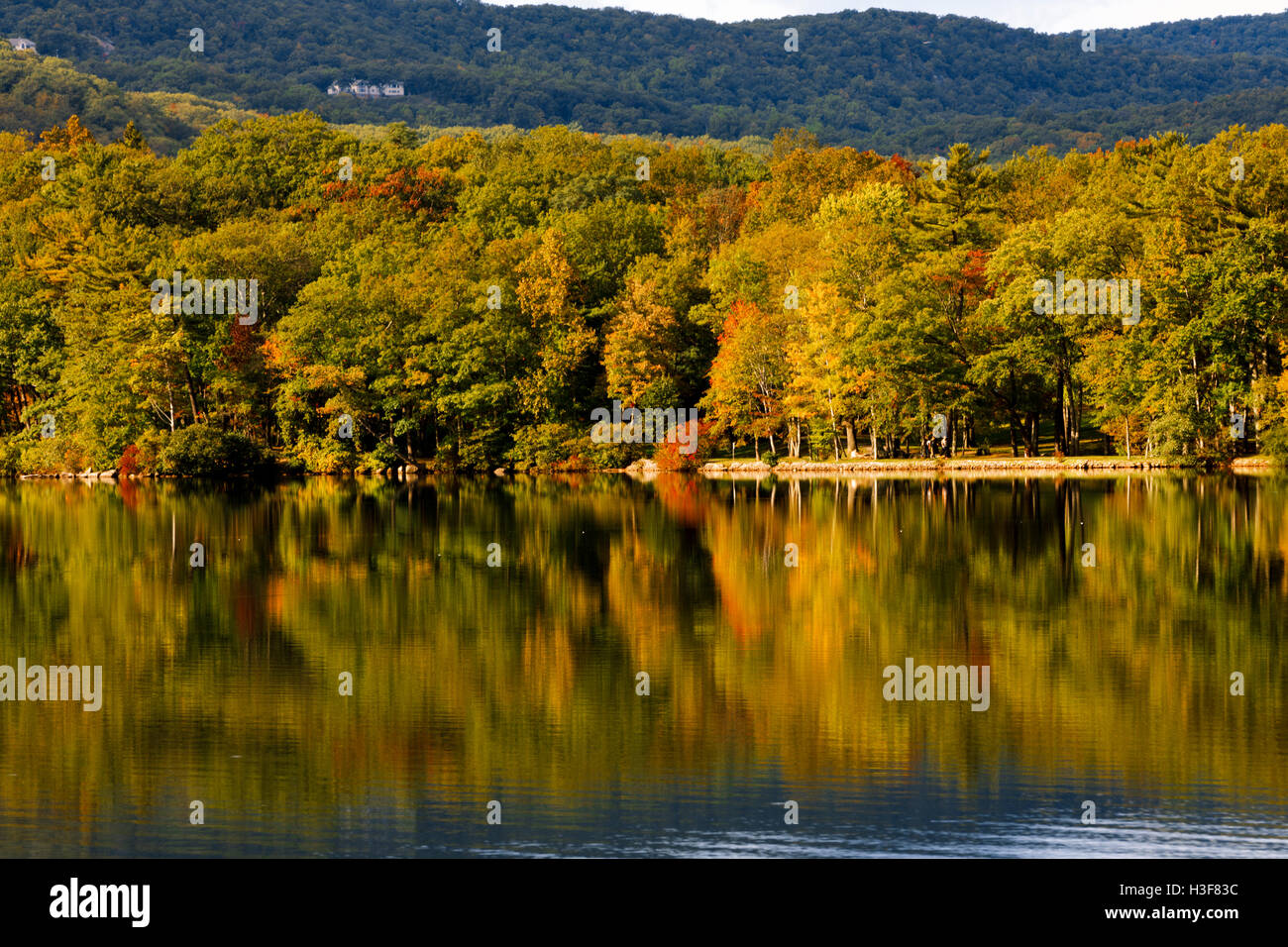 Fall landscape with the forest lake Stock Photo - Alamy