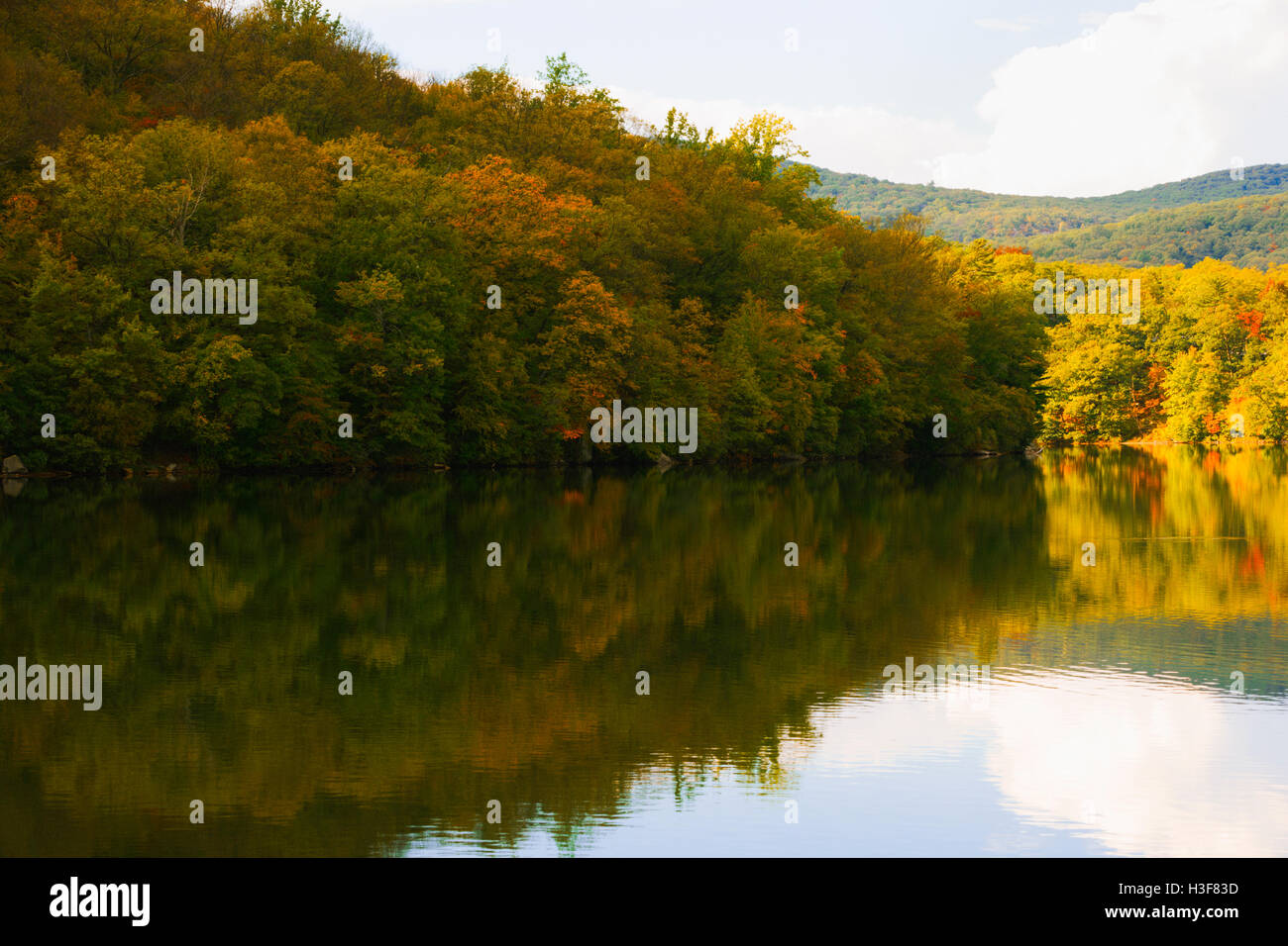 Fall landscape with the forest lake Stock Photo - Alamy