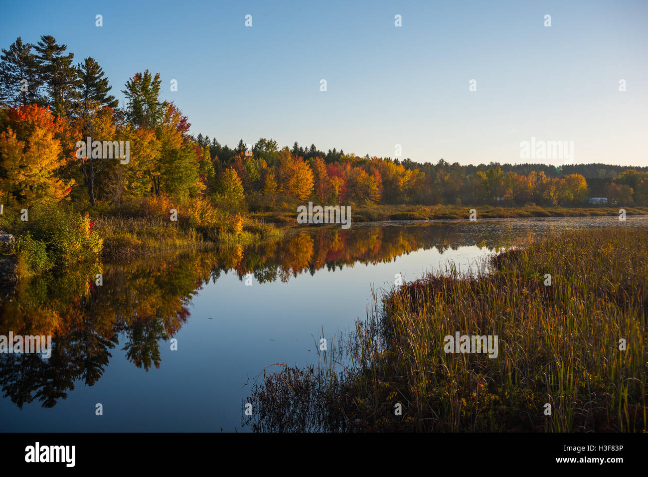 Corry evening hi-res stock photography and images - Alamy