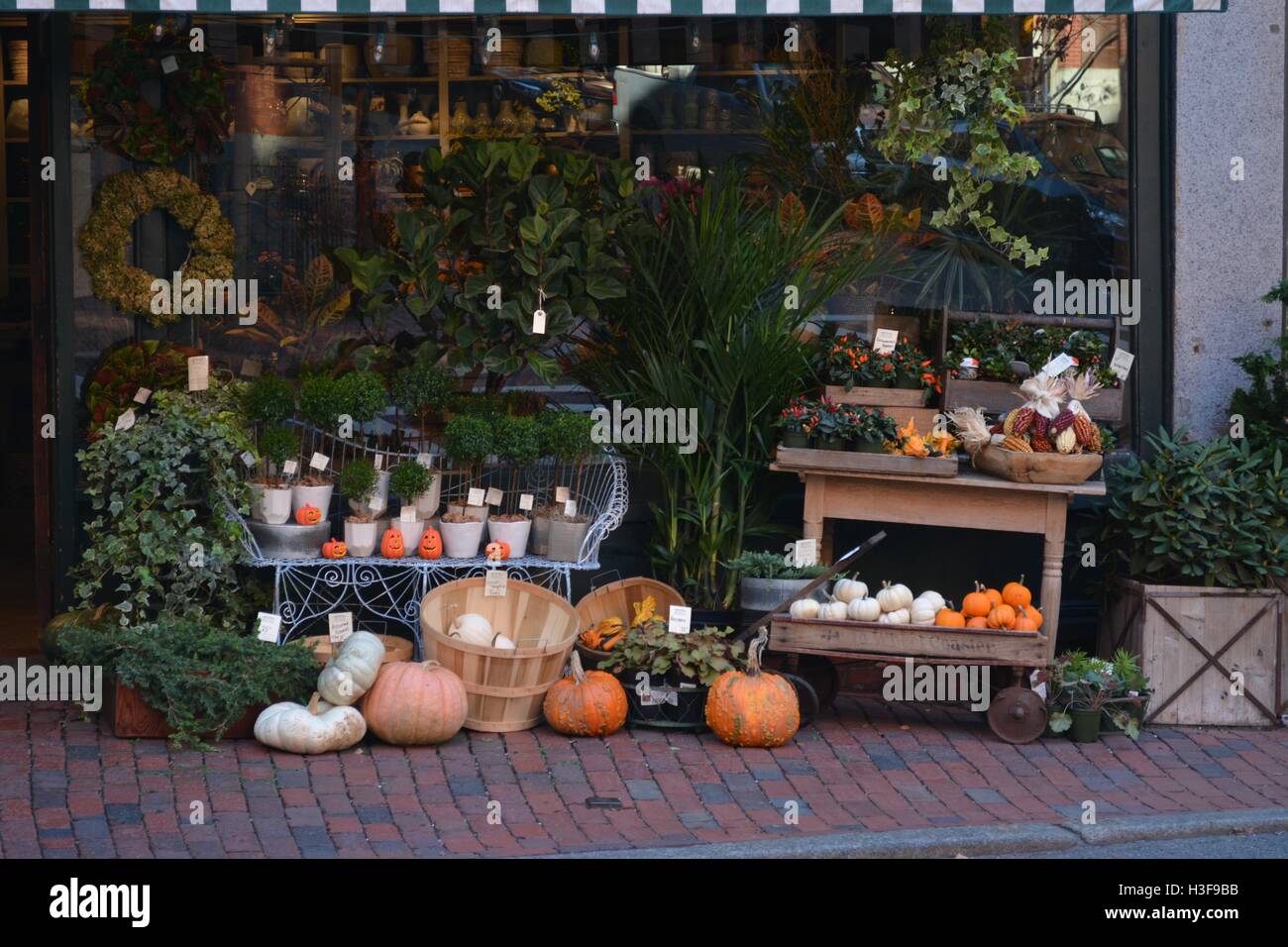 A city flower shop on Beacon Hill in downtown Boston, preparing for ...