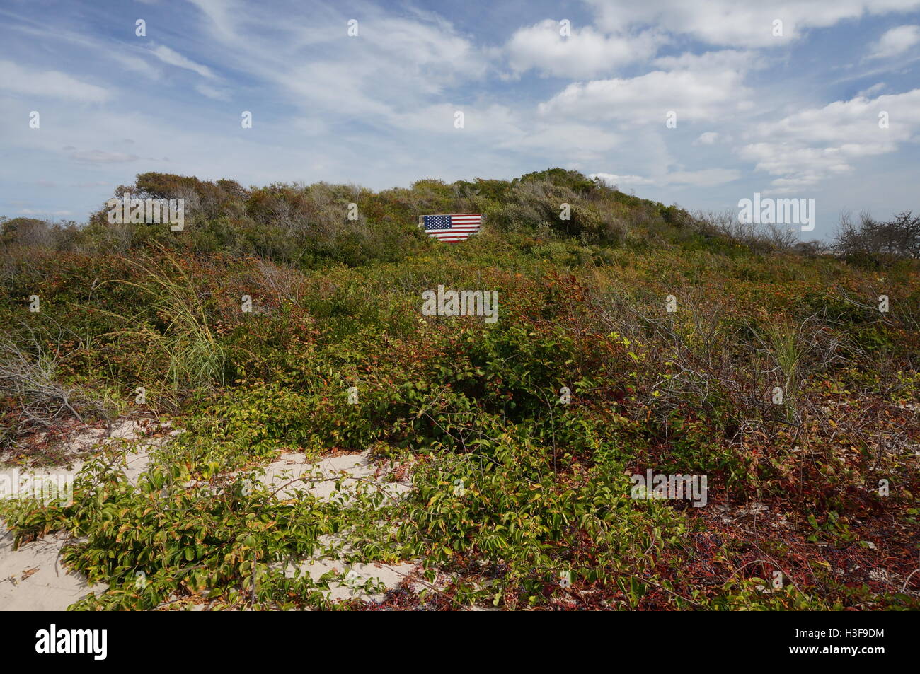 Dunescape of Fort Tilden Beach Stock Photo - Alamy