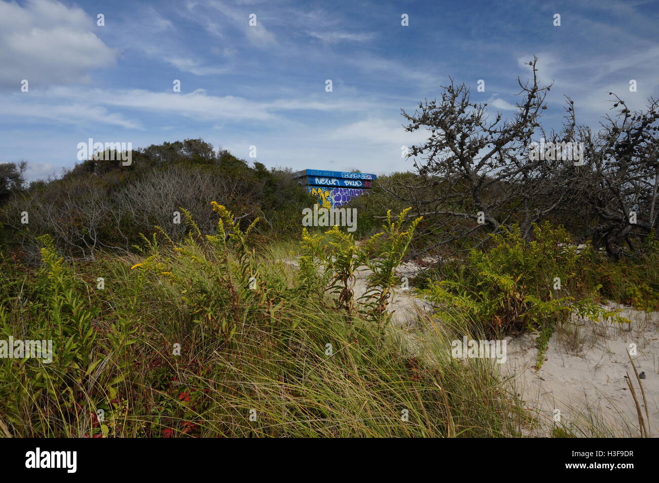 Machine Gun Bunker and Dunescape of Fort Tilden Beach Stock Photo - Alamy