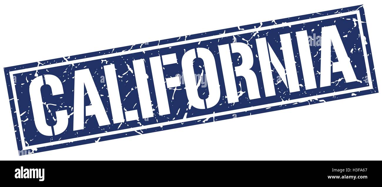 California blue square stamp Stock Vector Image & Art - Alamy