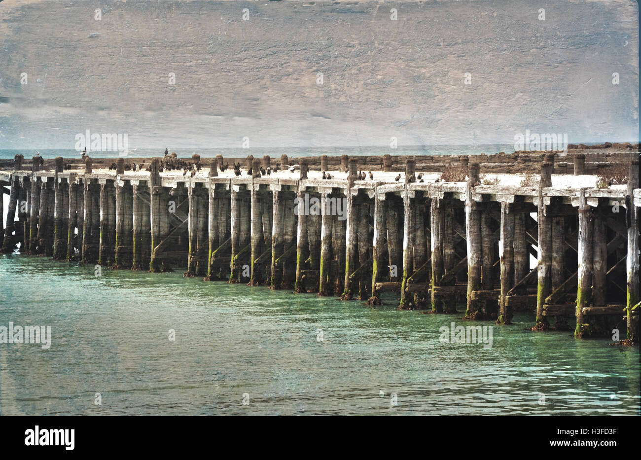 Historic wooden Sumpter Wharf at Oamaru Harbour, New Zealand. Vintage ...