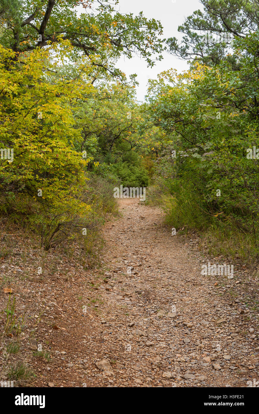 Picturesque view empty path hi-res stock photography and images - Alamy