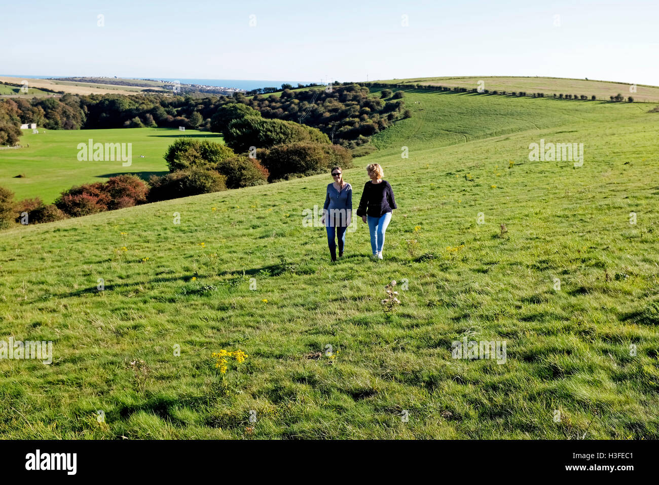 Woodingdean walk across the Downs countryside with coast behind near ...