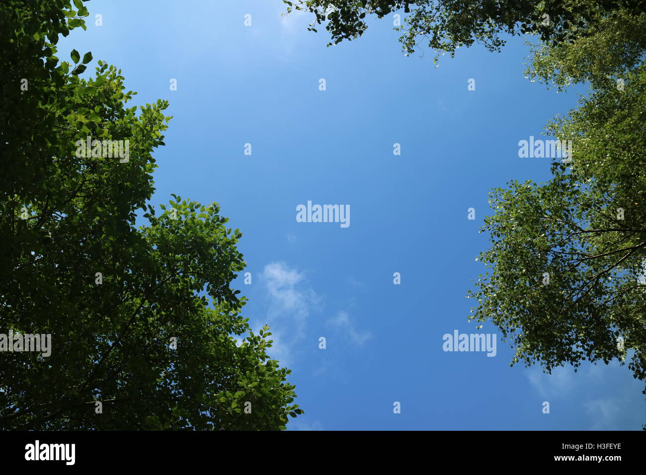 Explore sky hi-res stock photography and images - Alamy
