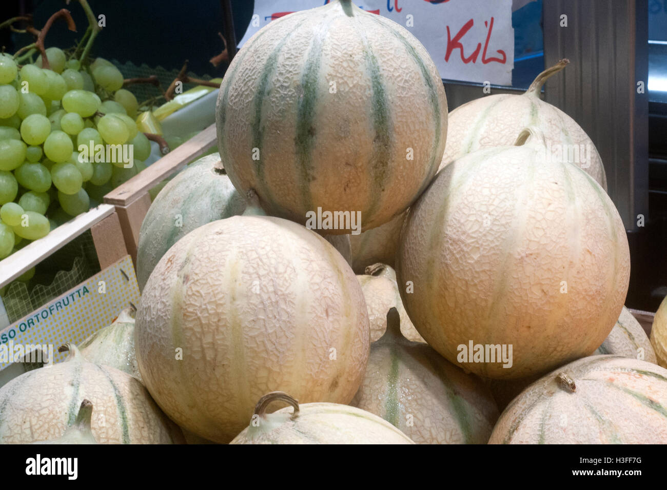 Cantaloupe Melon Skin Green Texture High Resolution Stock Photography ...
