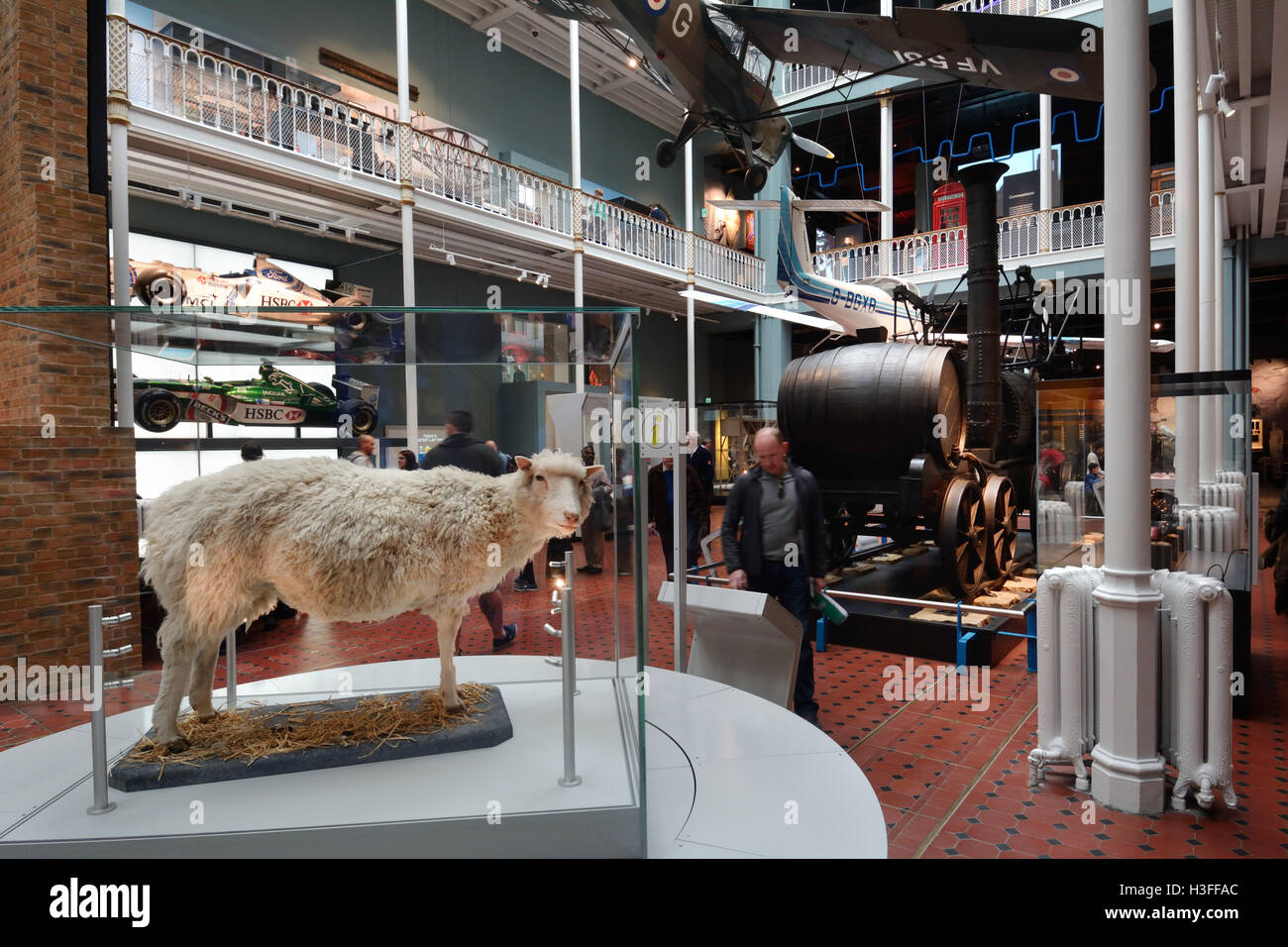 Dolly the sheep hi-res stock photography and images - Alamy