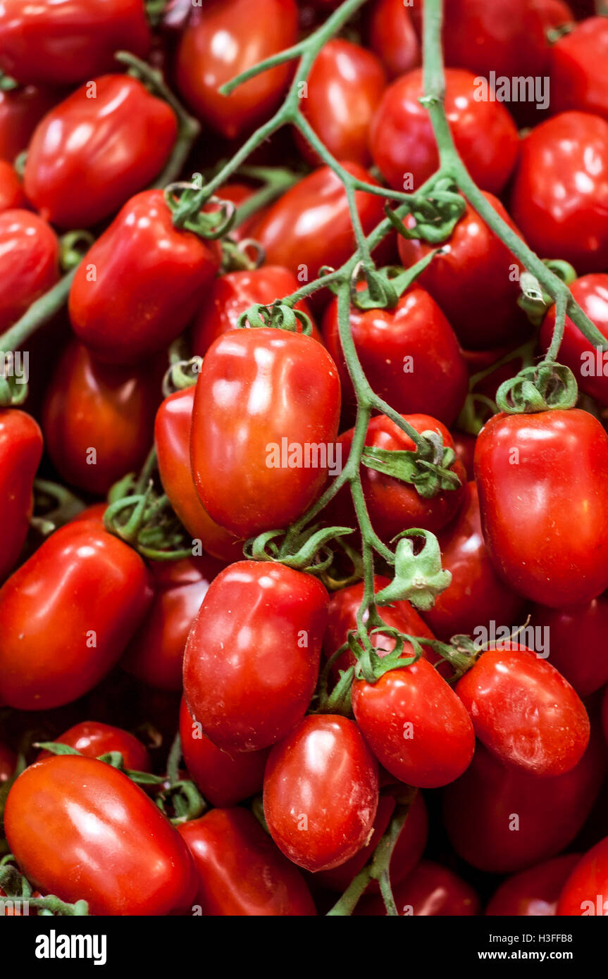 Fresh tomato display at the farmers Market Stock Photo - Alamy