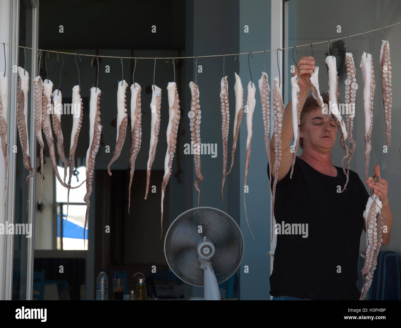 Outside a restaurant in Gytheio a woman hangs octopus legs from a ...