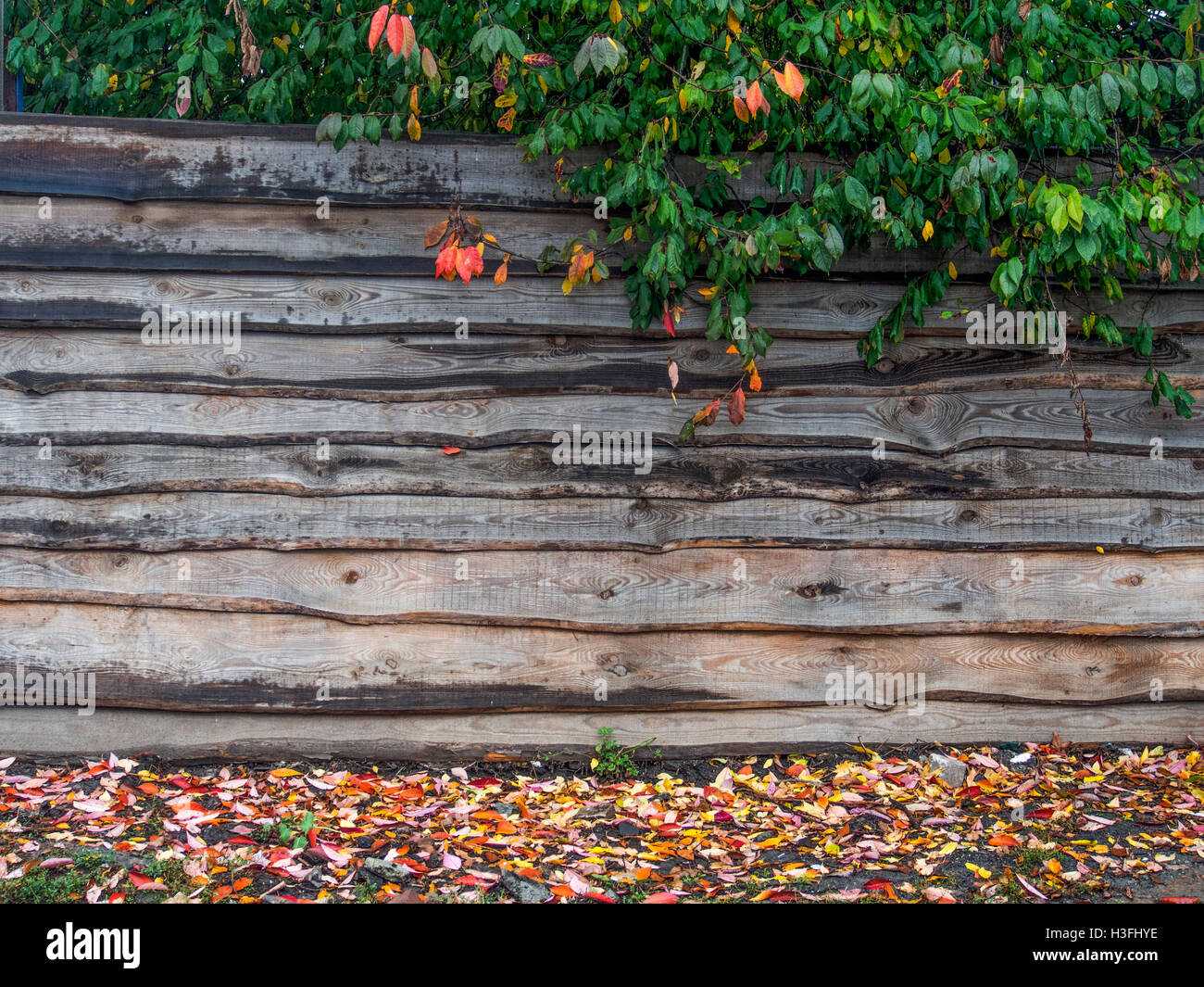 Change board walk hi-res stock photography and images - Alamy