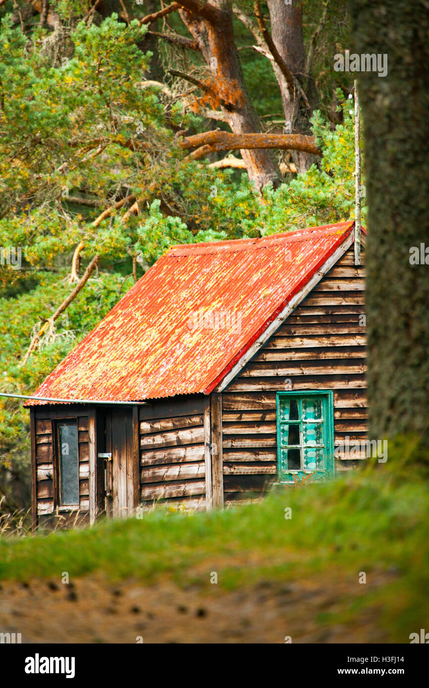 Ancient house among trees hi-res stock photography and images - Alamy
