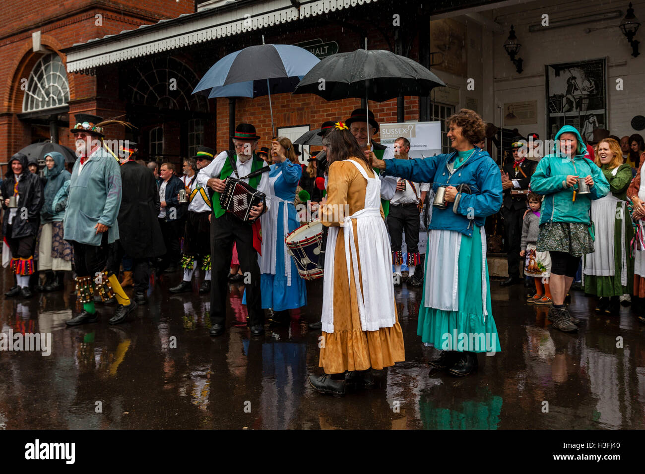 The Knots Of May Female Morris Dancers Hold Umbrellas Over Musicians ...