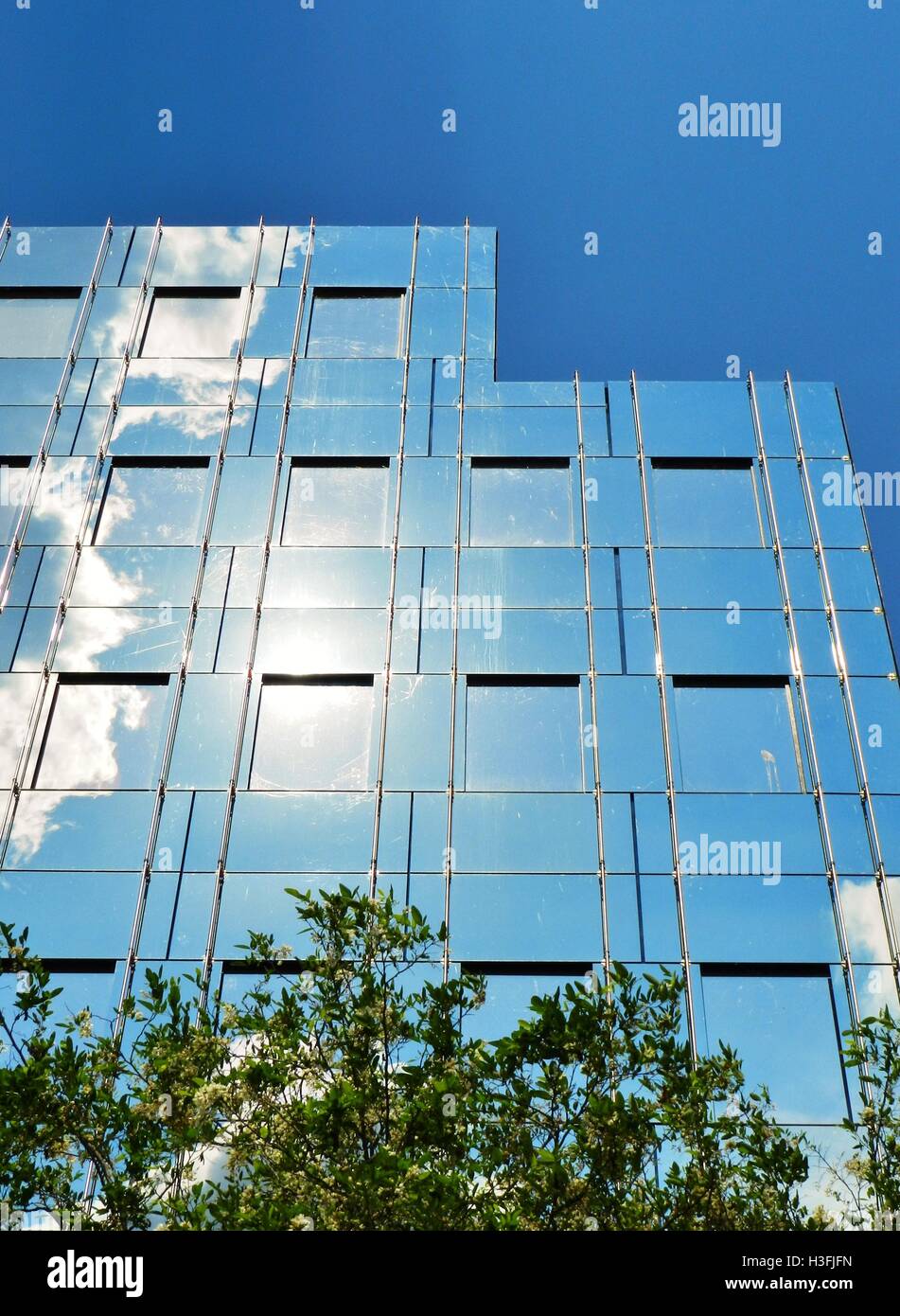 Detail of glass facade of modern office building with reflection of ...
