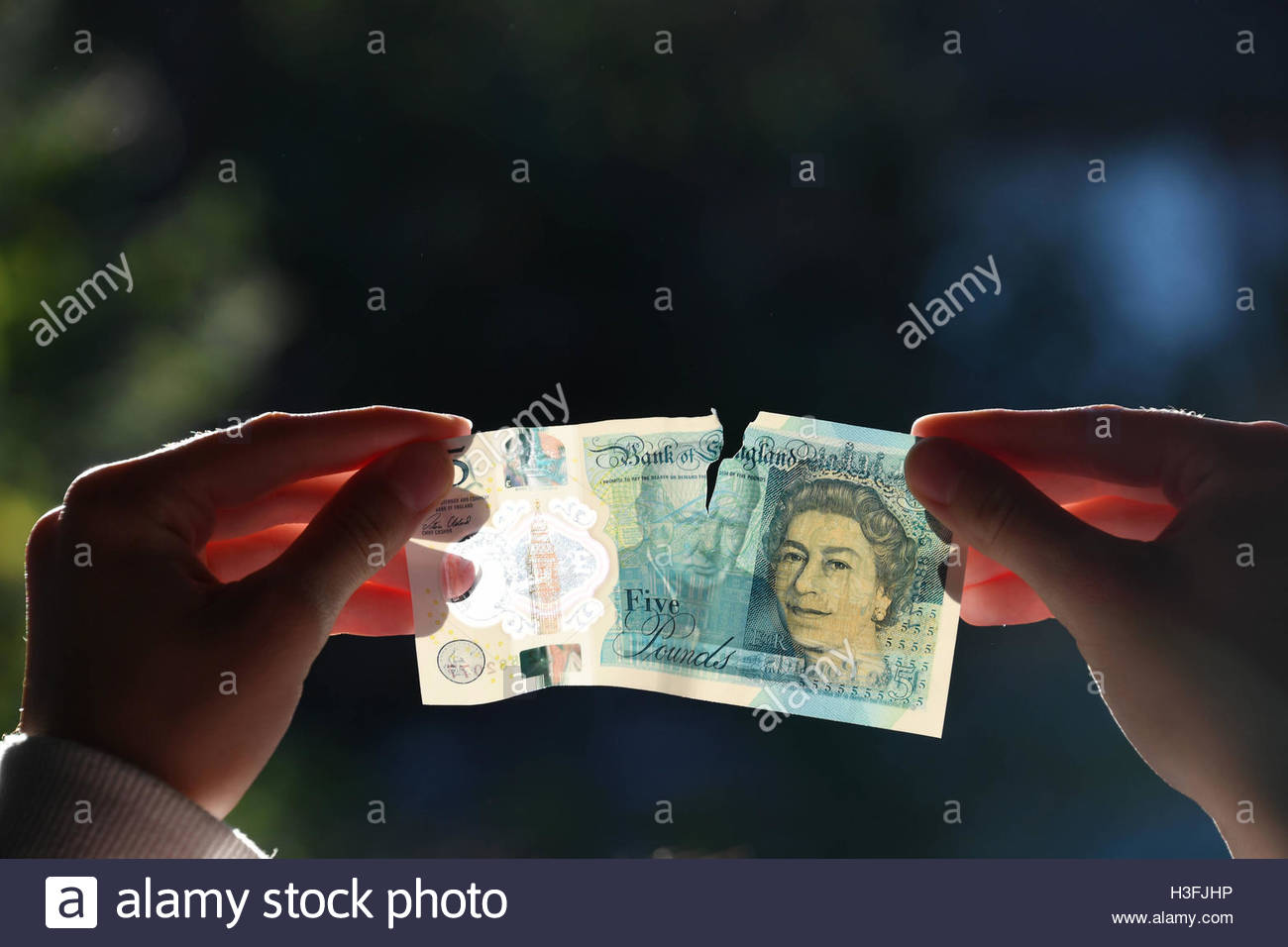Torn Banknote High Resolution Stock Photography and Images - Alamy