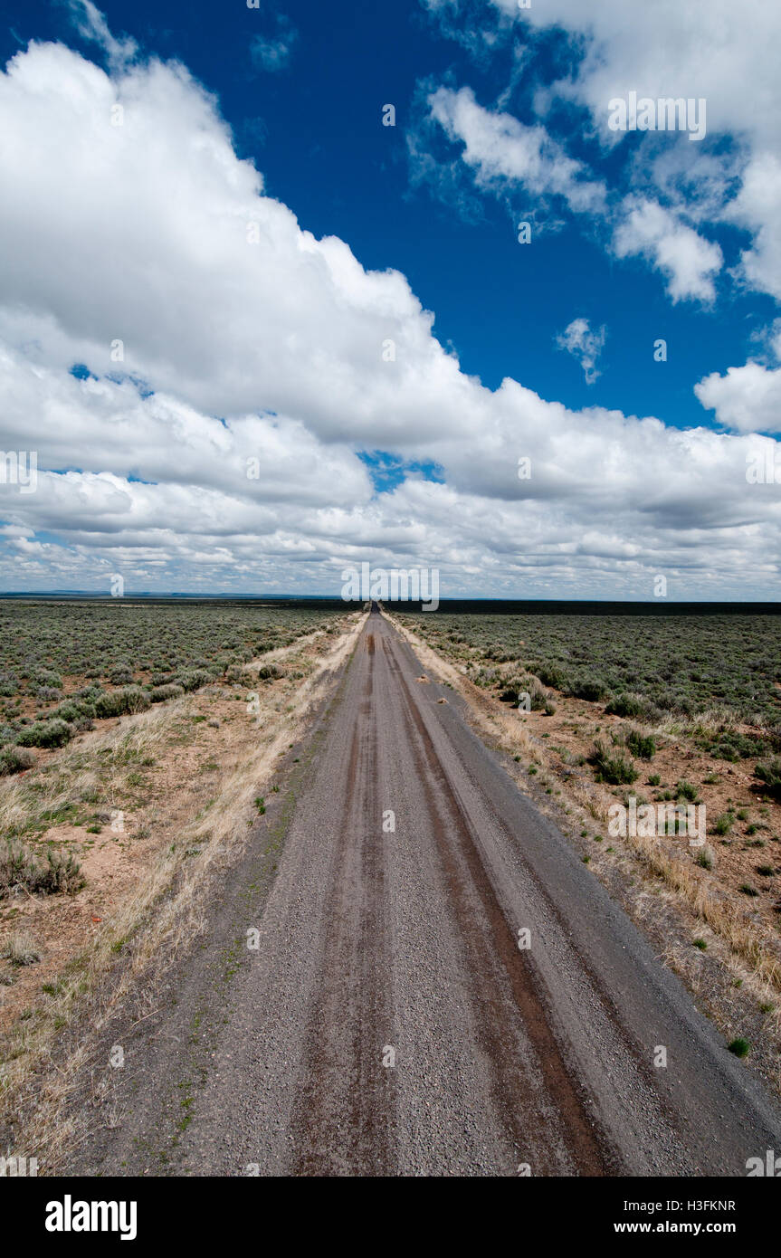Habitat of the greater sage grouse hi-res stock photography and images ...