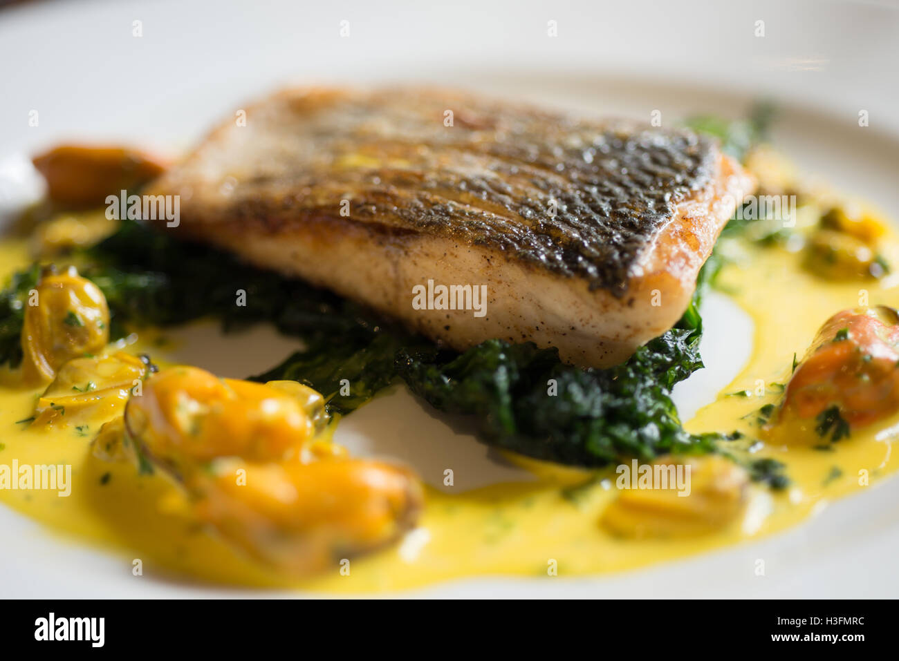 Closeup of cooked filleted fish on spinach leaves and yellow mussel ...