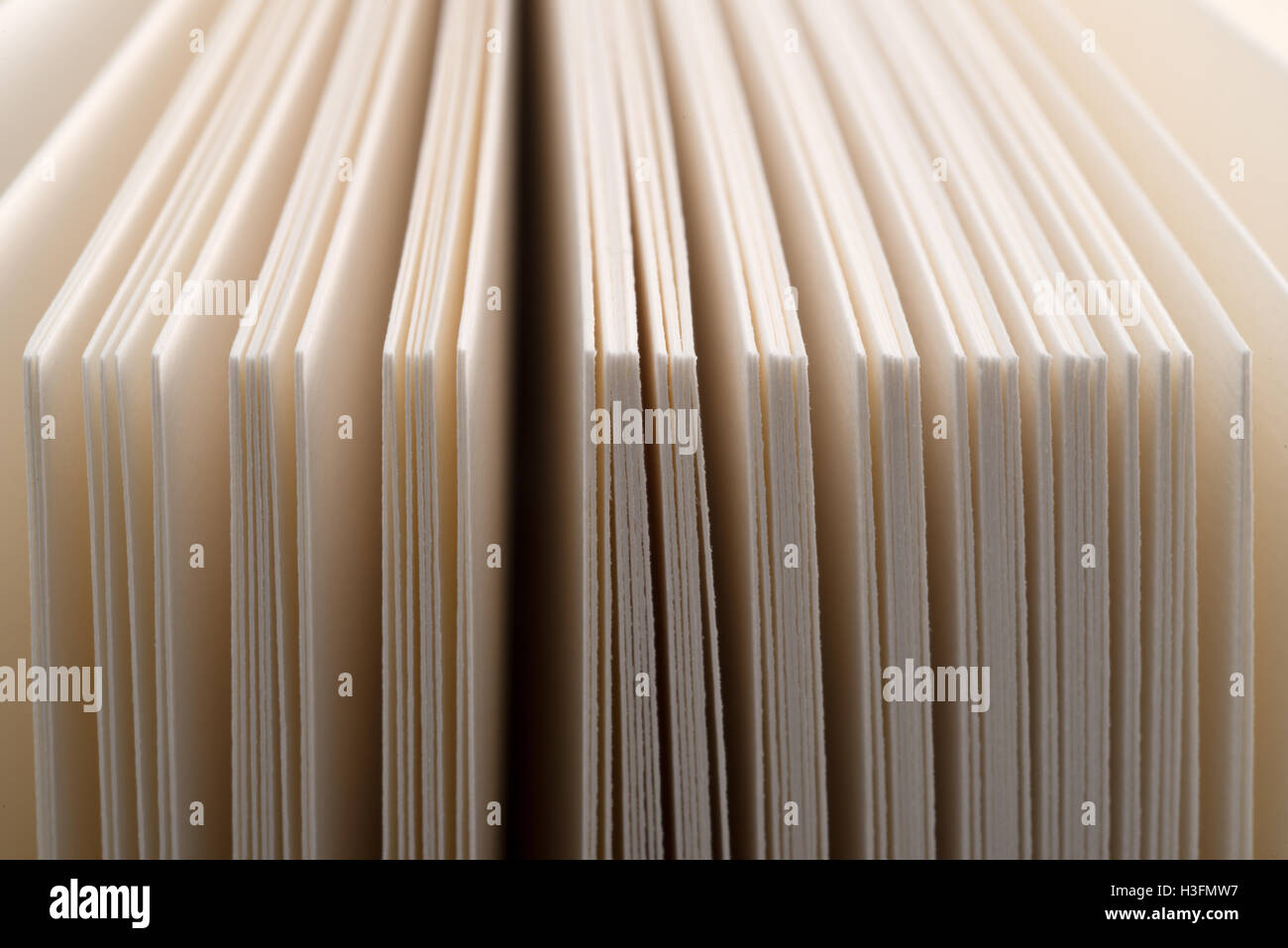 Row of organized white blank paper cards Stock Photo - Alamy