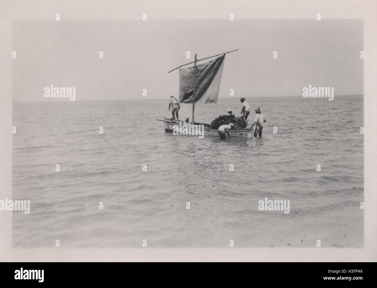Egyptian felucca or faluka a traditional Arabic wooden sailing boat ...
