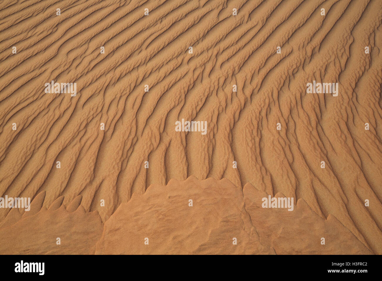 pattern of sand in a desert Stock Photo - Alamy