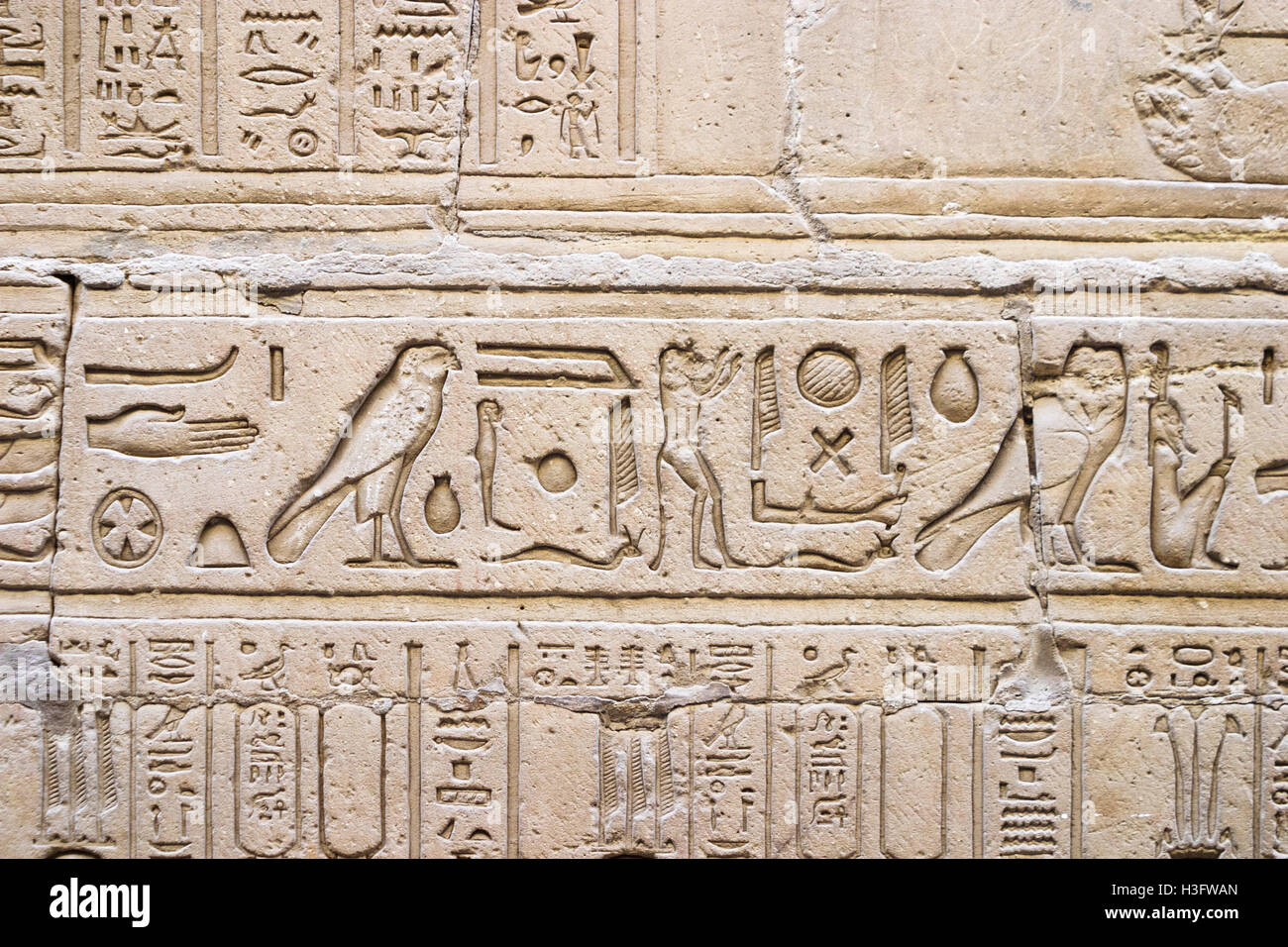 Cartouche egypt horus hi-res stock photography and images - Alamy