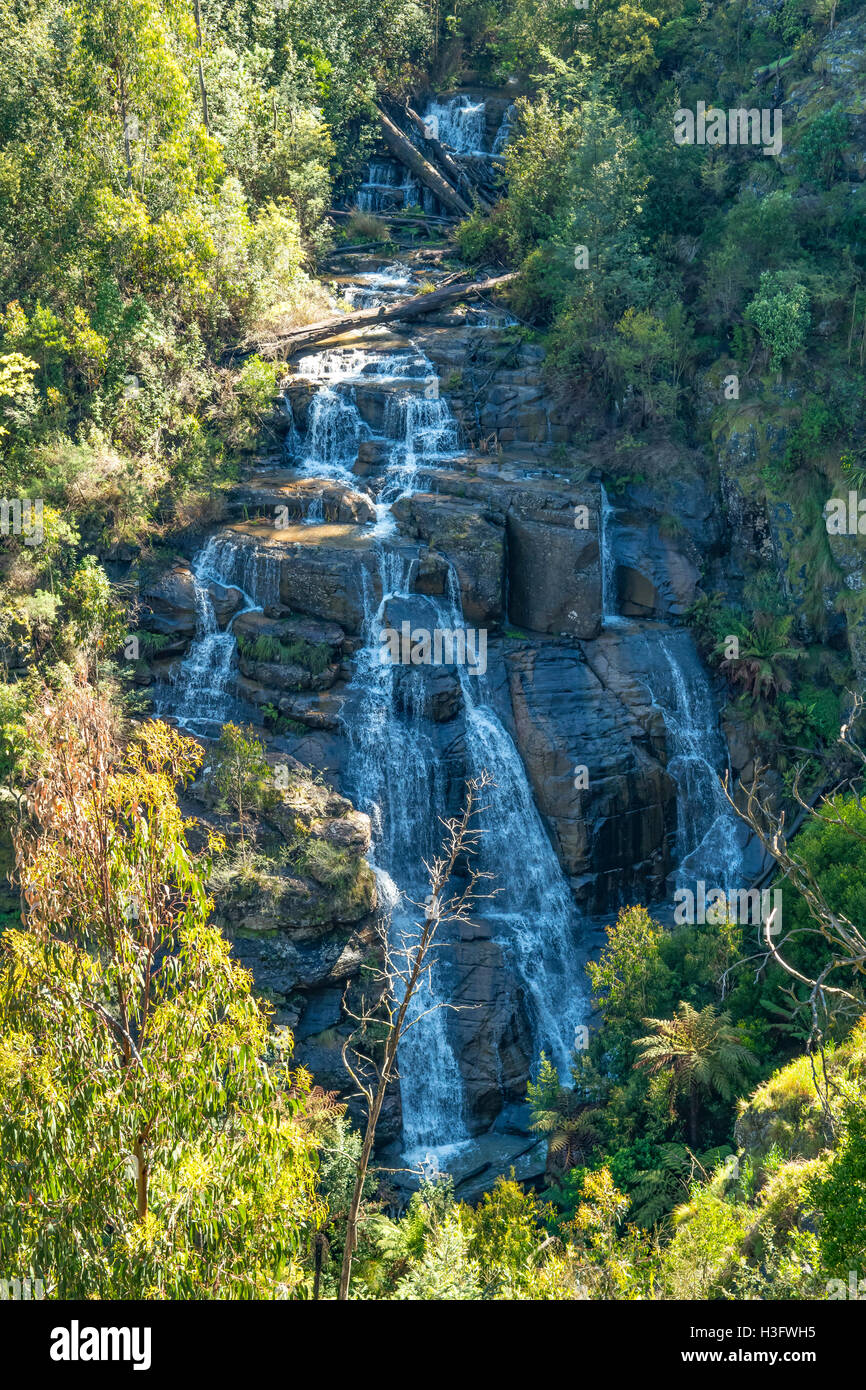Kinglake victoria australia hi-res stock photography and images - Alamy