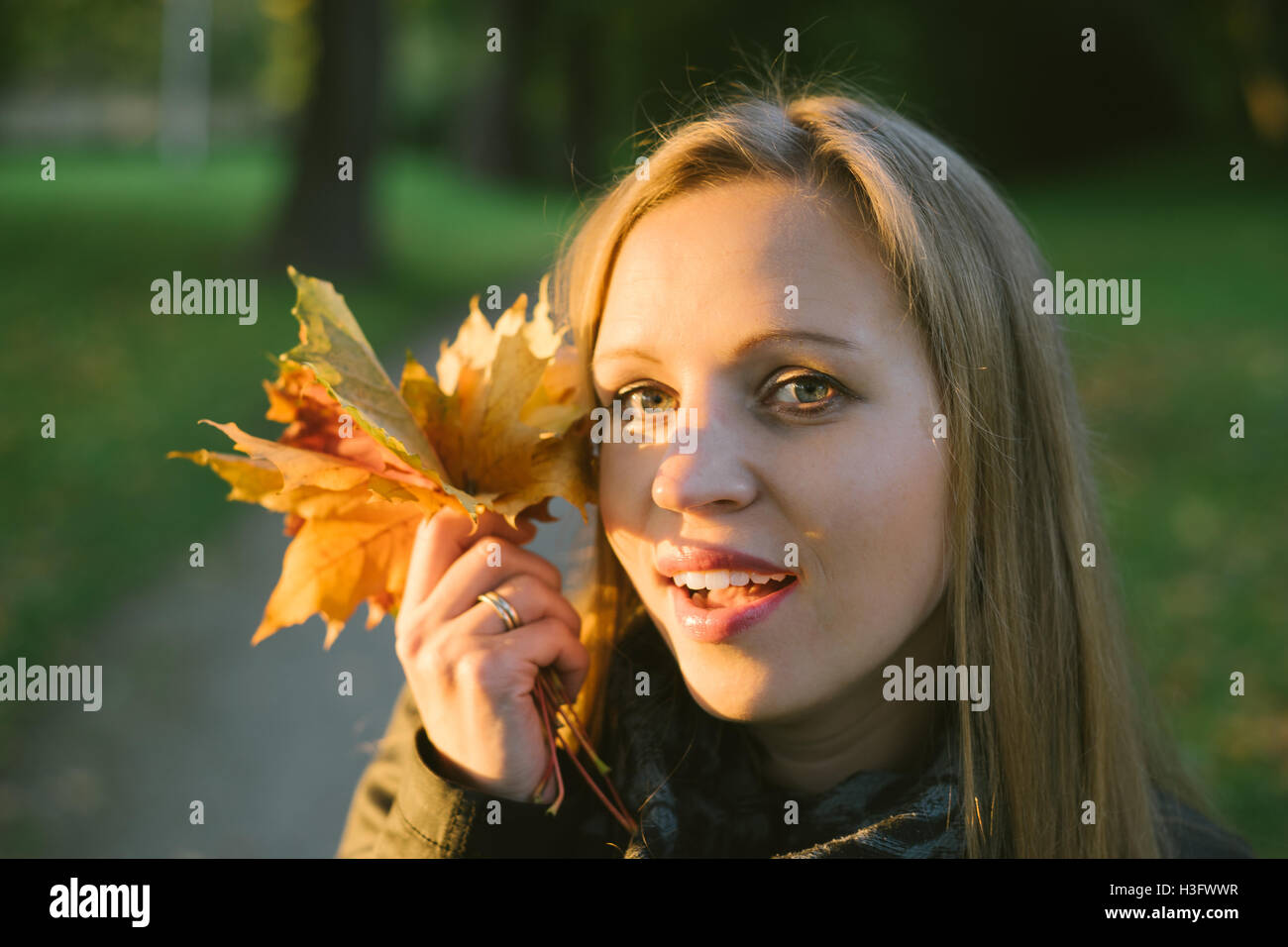 Young beautiful lady with bunch of maple leaves smiling in light of ... Young beautiful lady with bunch of maple leaves smiling in light of ...