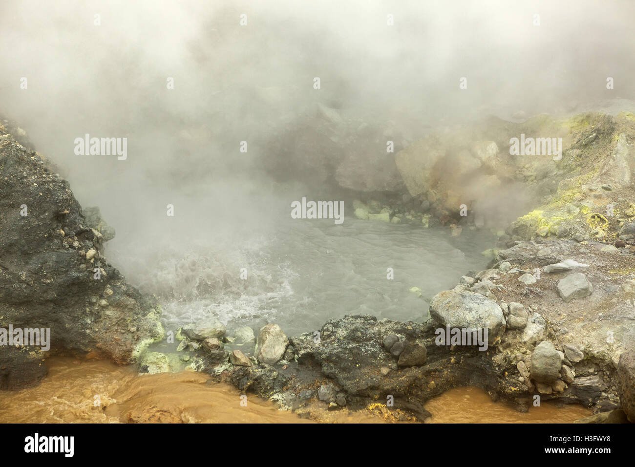 Seething cauldron of boiling water in crater Mutnovsky volcano Stock ...