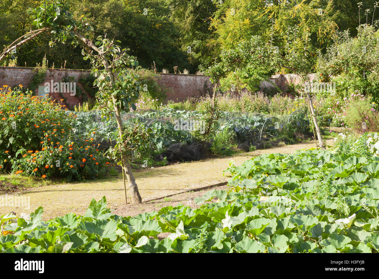 Victorian Walled Kitchen Garden at Normanby Hall Country Park, North ...