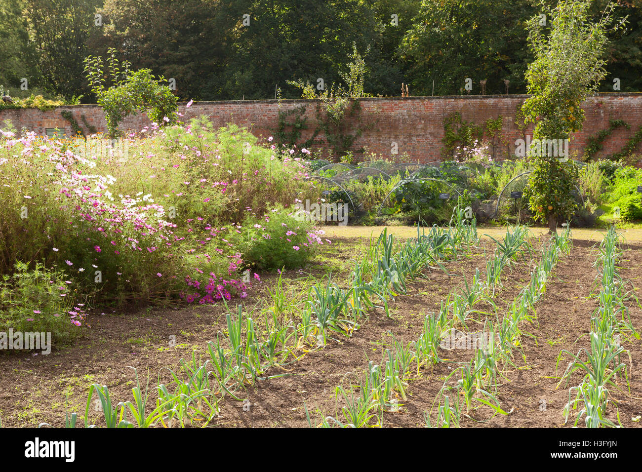 Victorian Vegetable Garden Stock Photos & Victorian Vegetable Garden ...
