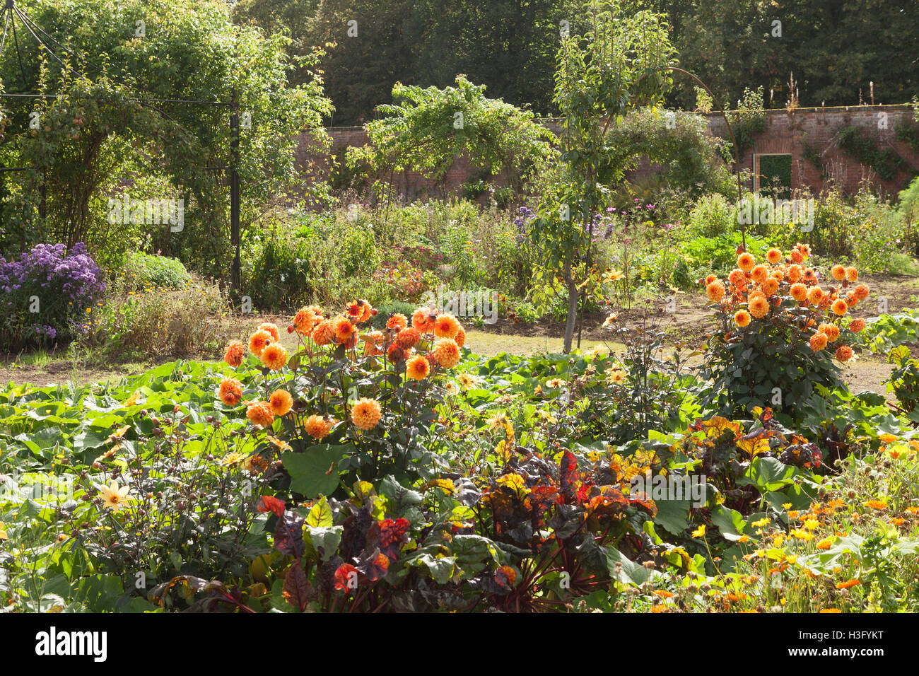 Victorian Kitchen Garden High Resolution Stock Photography and Images ...