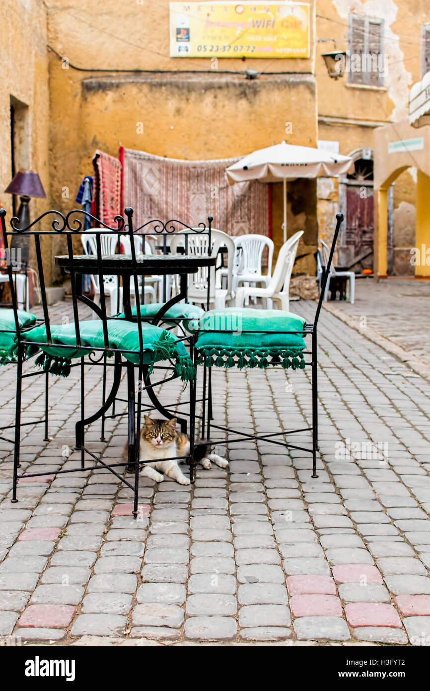 Morroco hi-res stock photography and images - Alamy