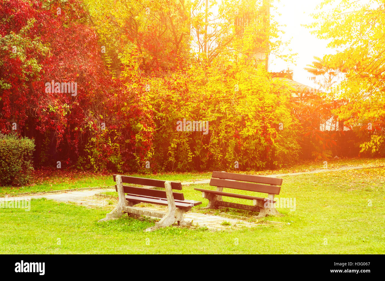 Autumn beautiful park Stock Photo - Alamy