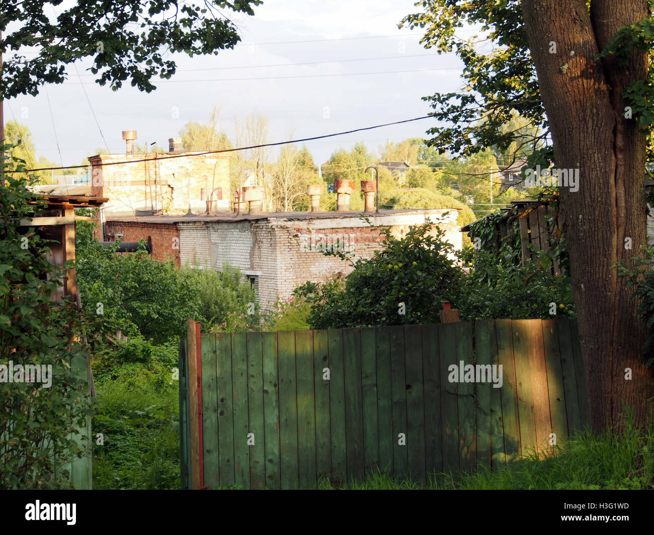 This artwork captures an unknown subject, the details of which remain ...