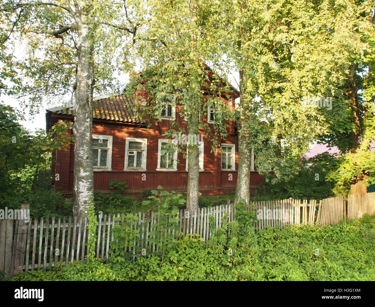 This image, labeled 'Pic1,' lacks identifying information. Further ...