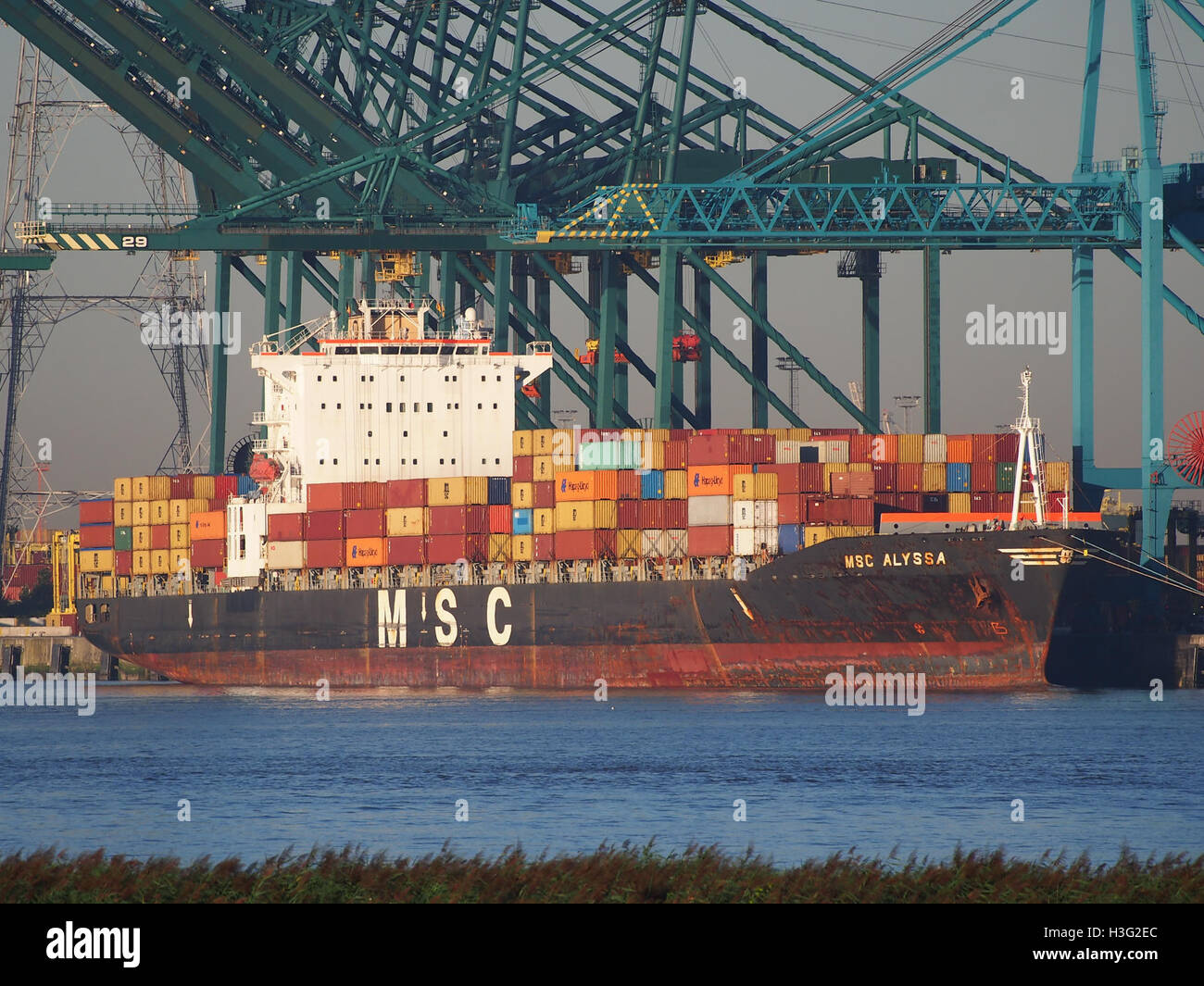 Msc alyssa ship hi-res stock photography and images - Alamy