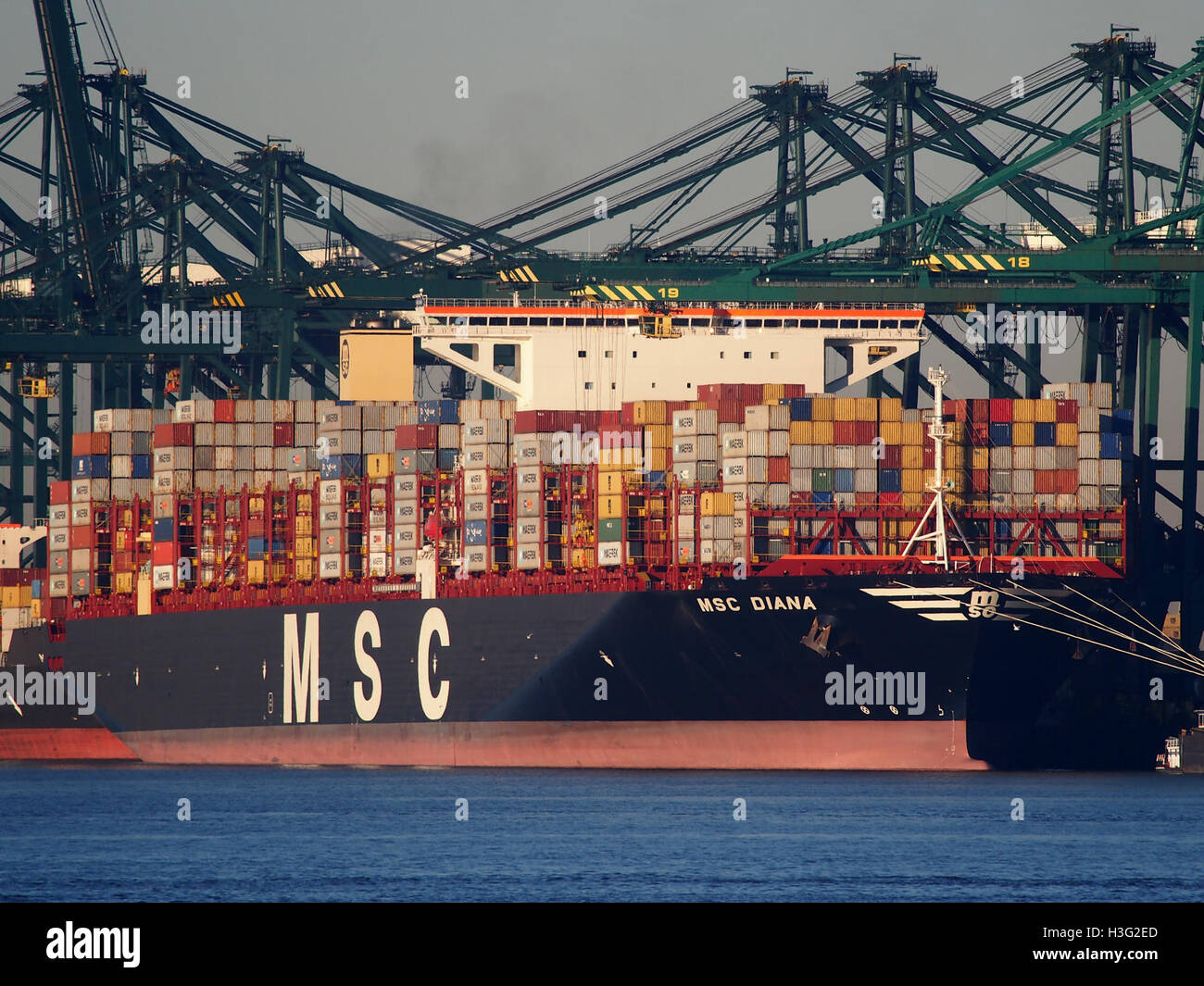 The MSC Diana, a container ship built in 2016 with IMO number 9755933 ...