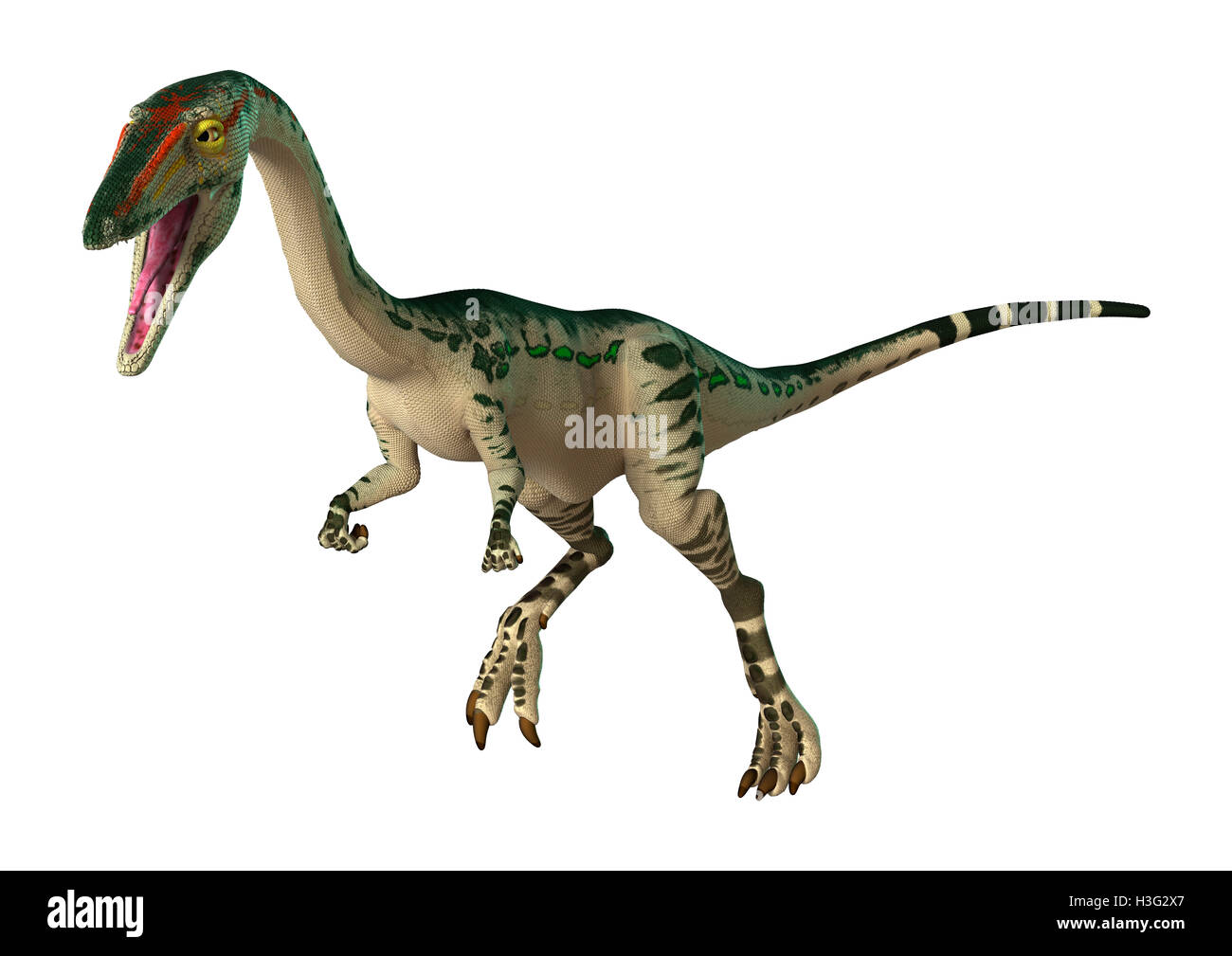 3D rendering of a dinosaur Coelophysis isolated on white background ...