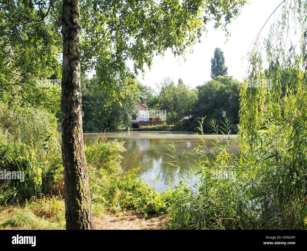 This image captures a scenic view of Flevopark, a popular public park ...