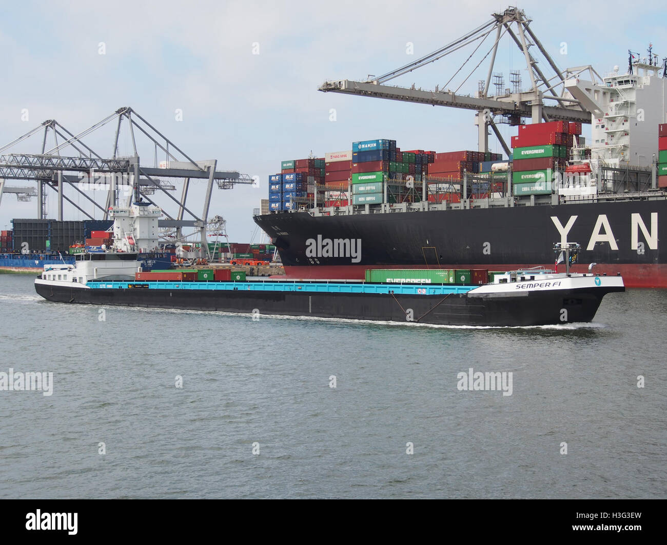The ship Semper Fi (ENI 02335121) is docked at the Amazonehaven in the ...