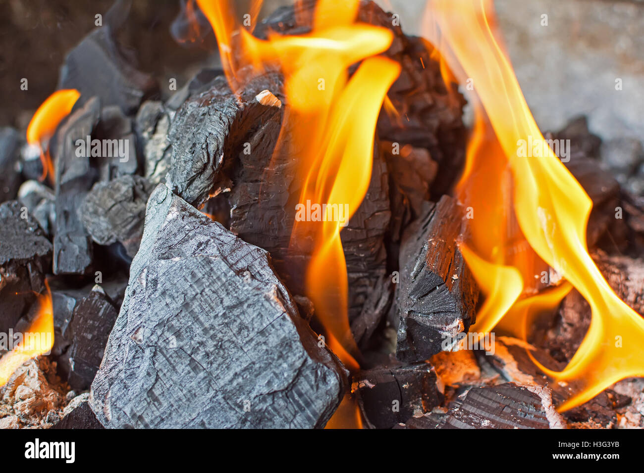 Fire and Coals Close Up. Burning Fire Bright Flames. Hot Charcoal ...