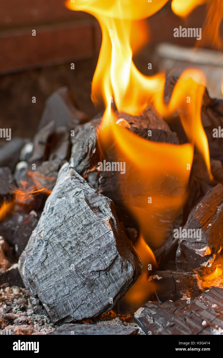 Fire and Coals Close Up. Burning Fire Bright Flames. Hot Charcoal ...